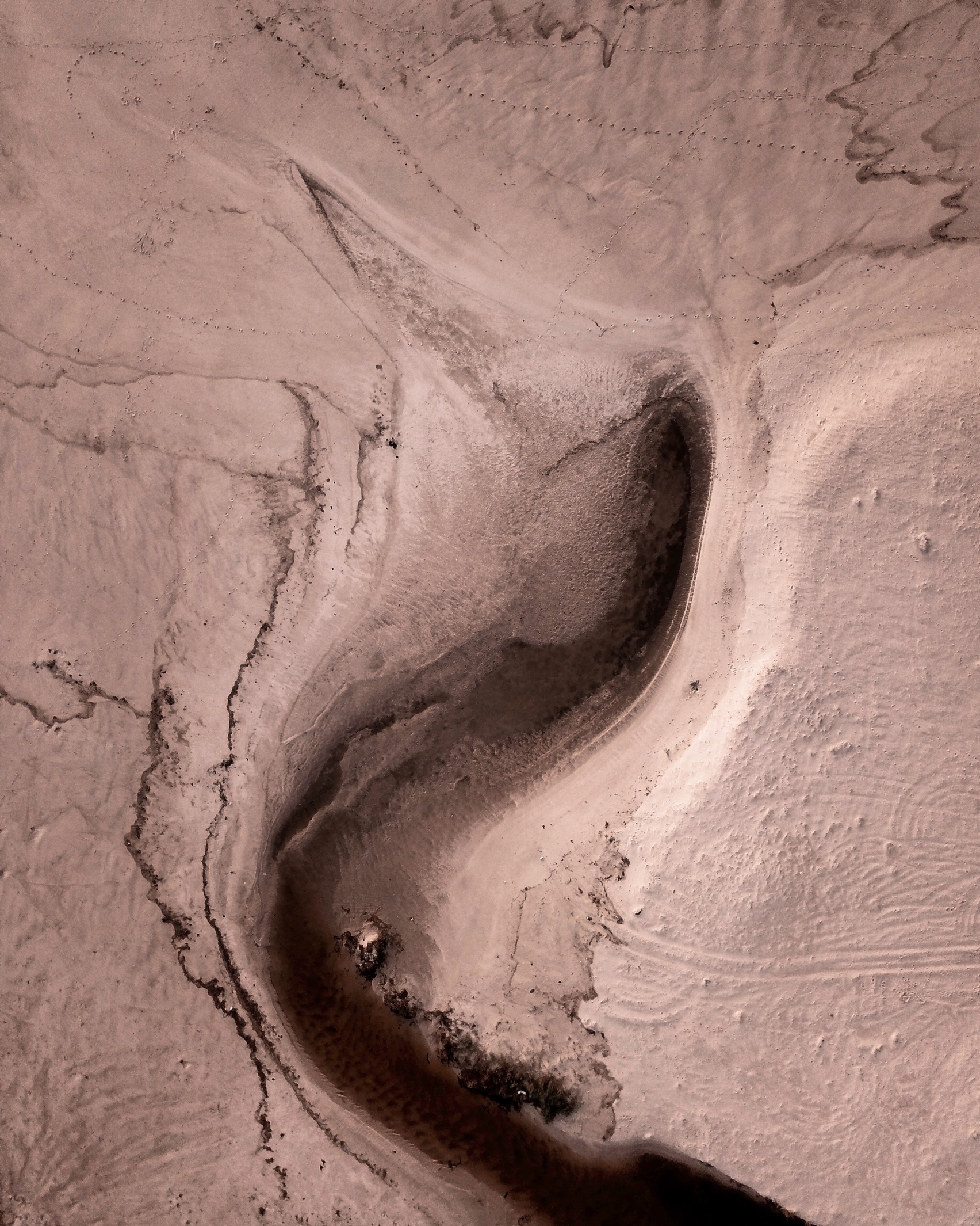 2004-2005, Centre for Marine and Coastal Studies Ltd., Greater Gabbard ...